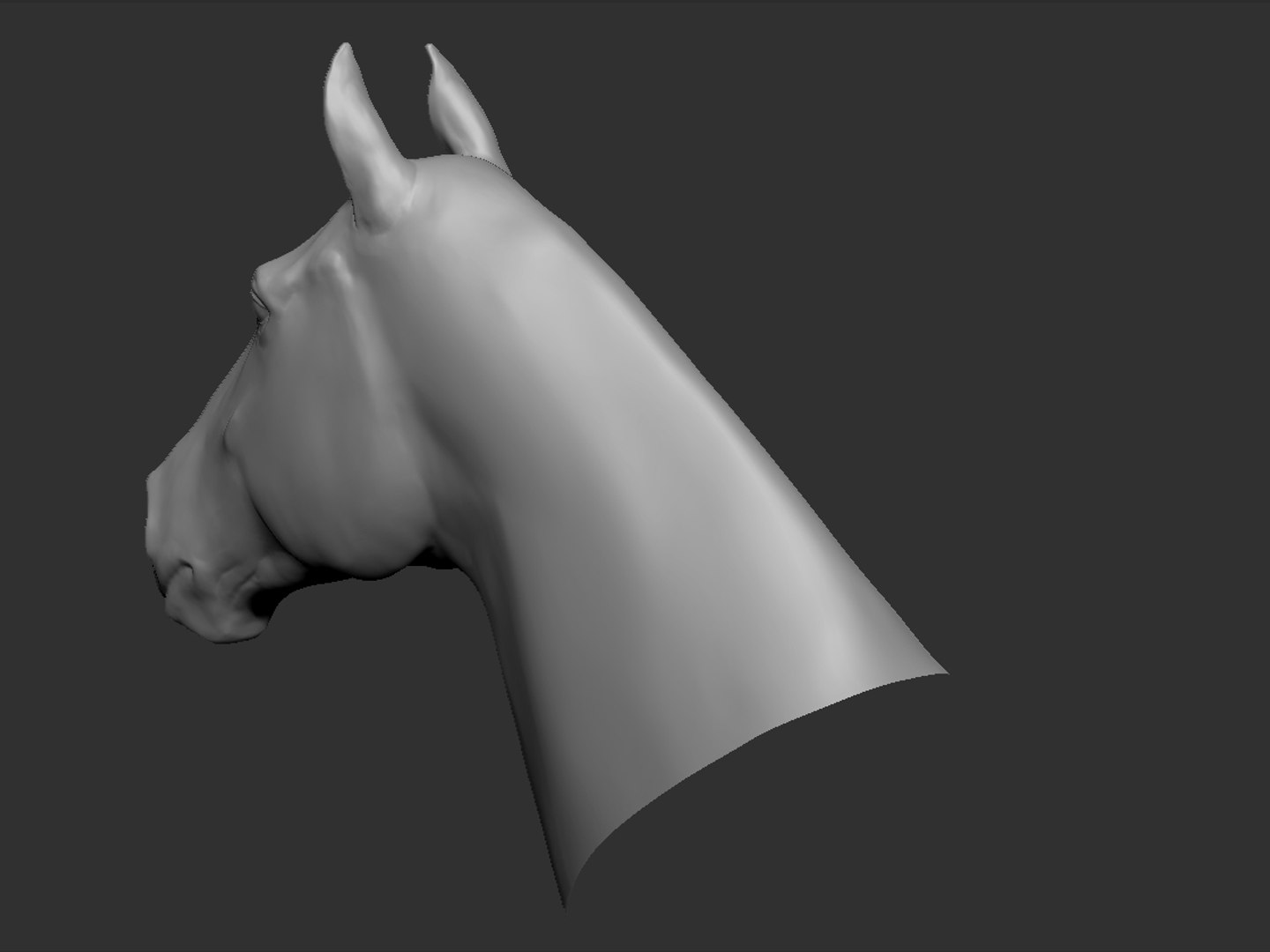 3d Model Horse Head