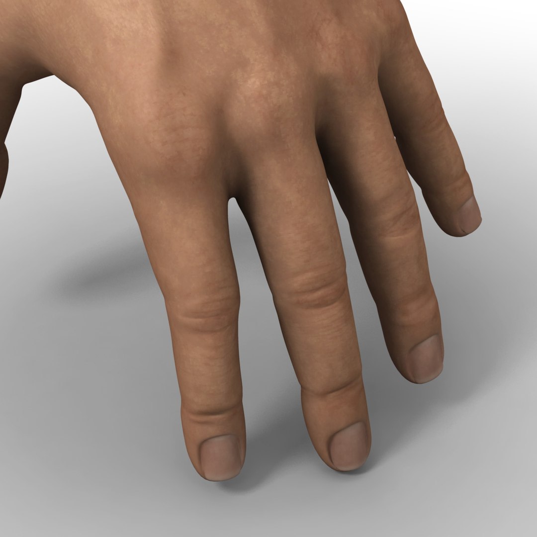 3d human hand