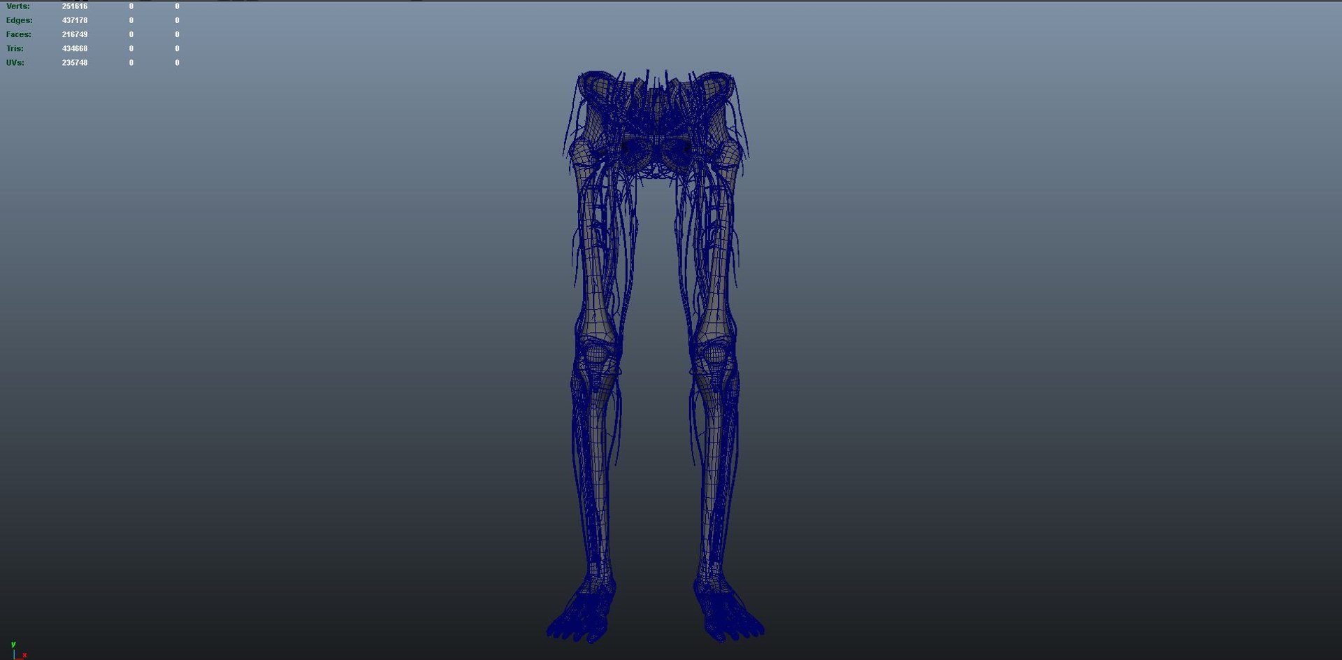 Lower Limbs 3d Model
