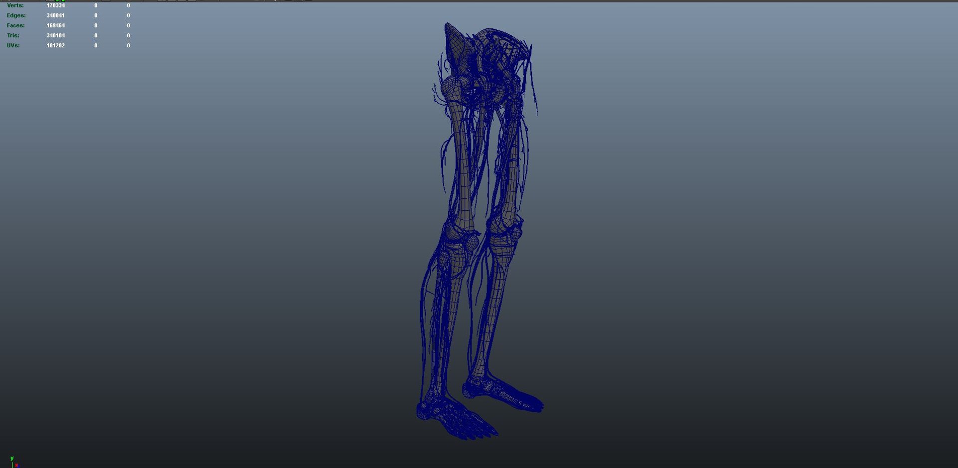 Lower Limbs 3d Model