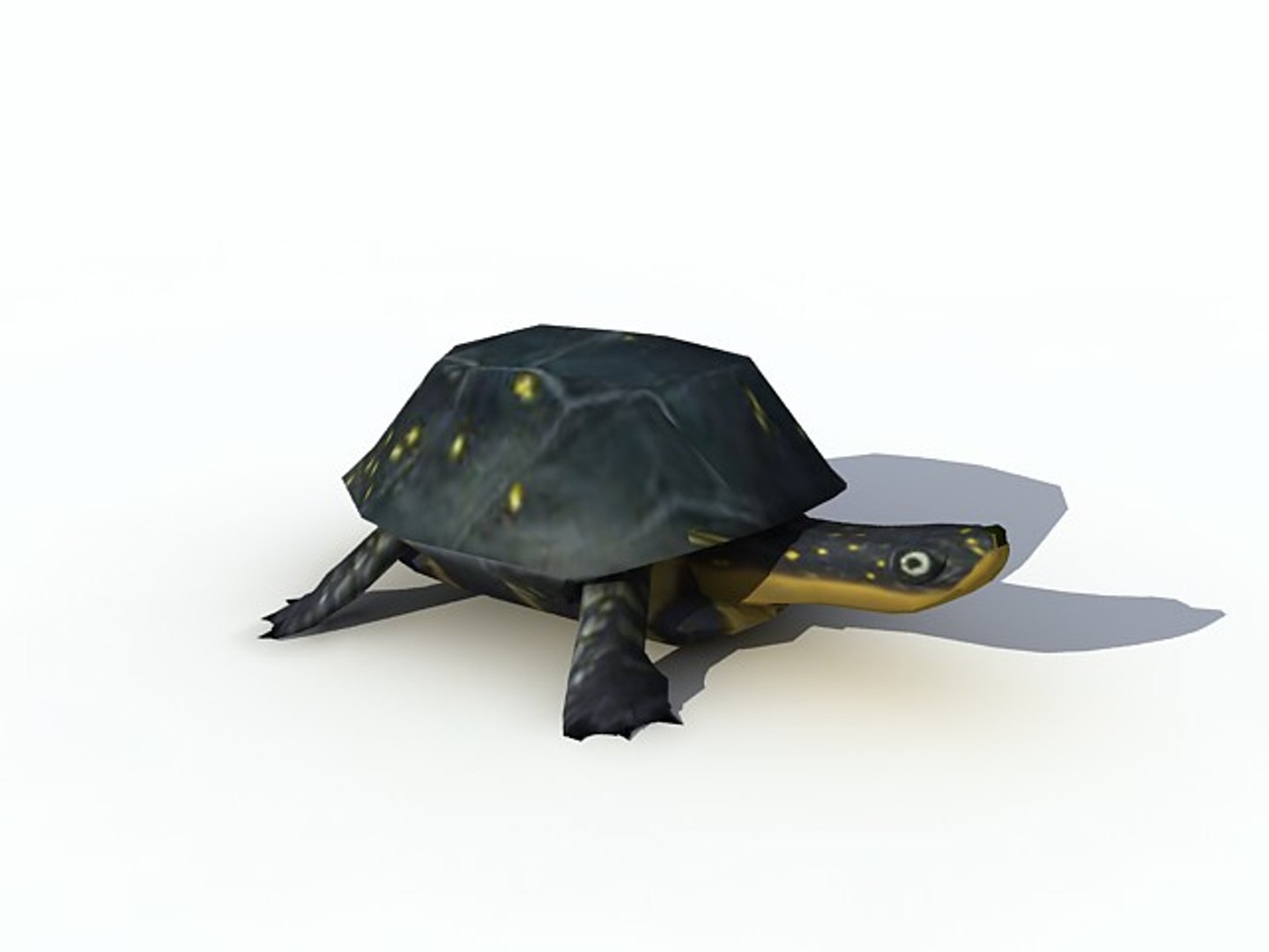 swamp scene turttles 3d model