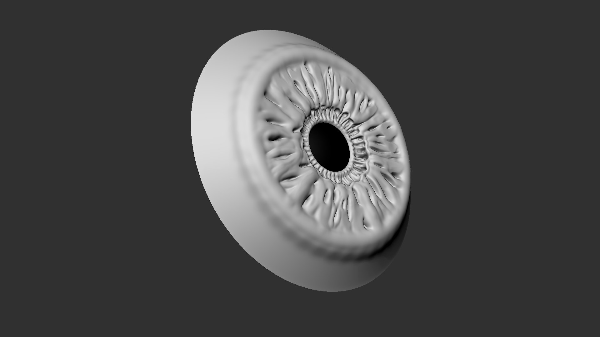 Brown Eye Iris 3D Model - TurboSquid 1710692