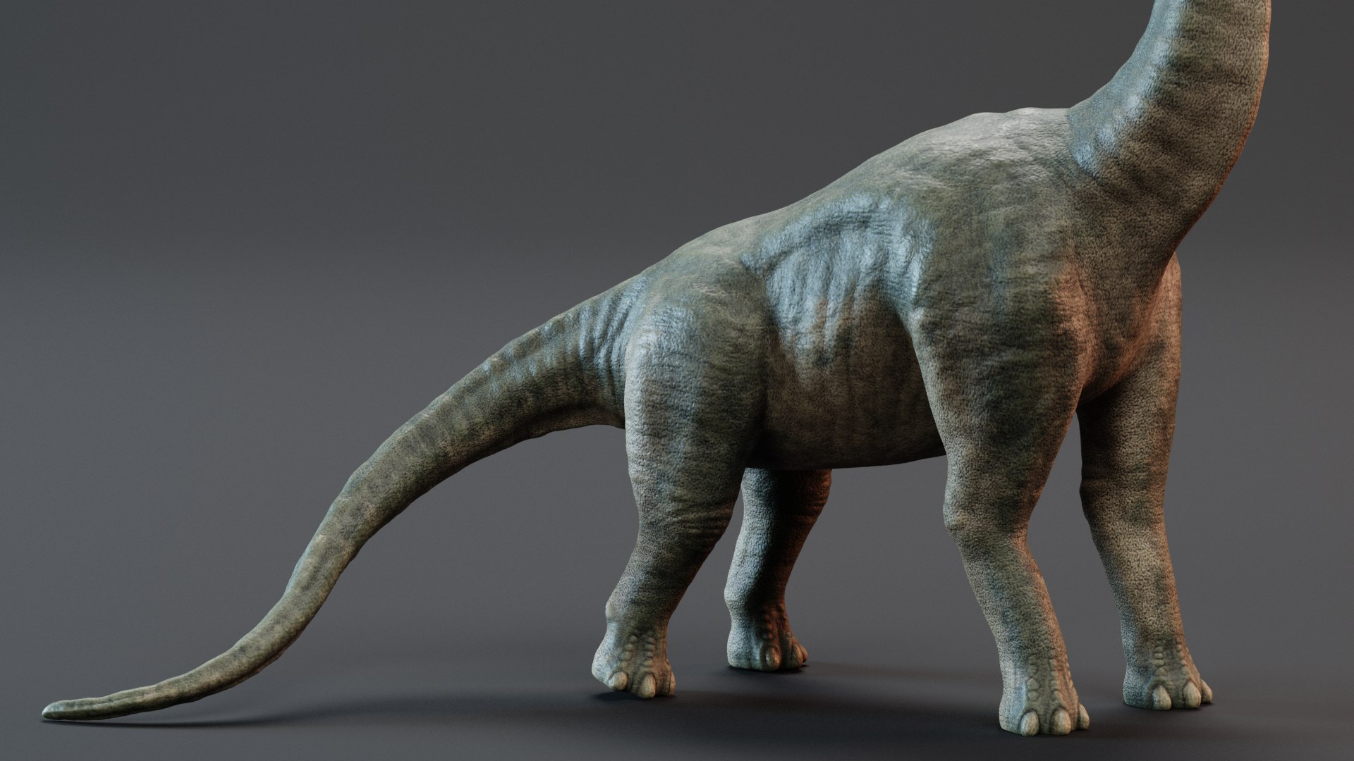 3D Model Brachiosaurus Rigged - TurboSquid 1723380