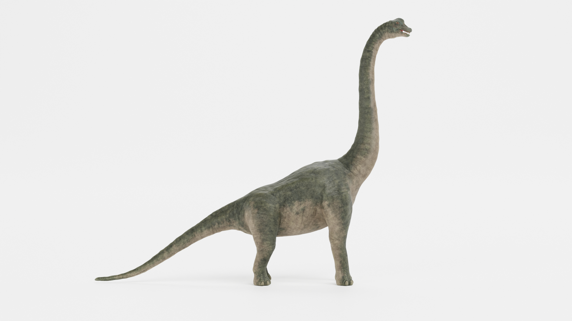 3D Model Brachiosaurus Rigged - TurboSquid 1723380