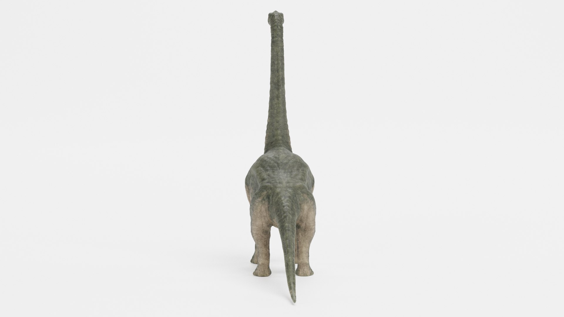 3D Model Brachiosaurus Rigged - TurboSquid 1723380