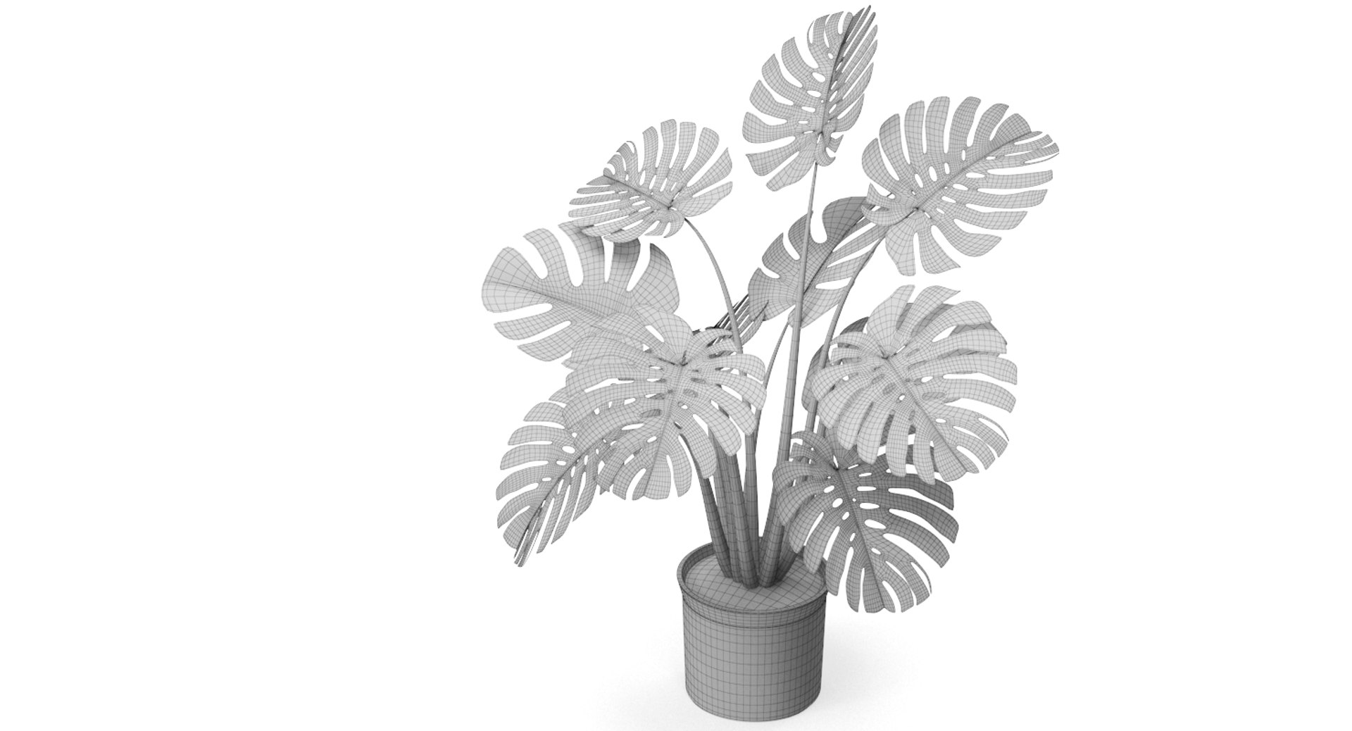 Monstera Plant 3D Model - TurboSquid 1339834