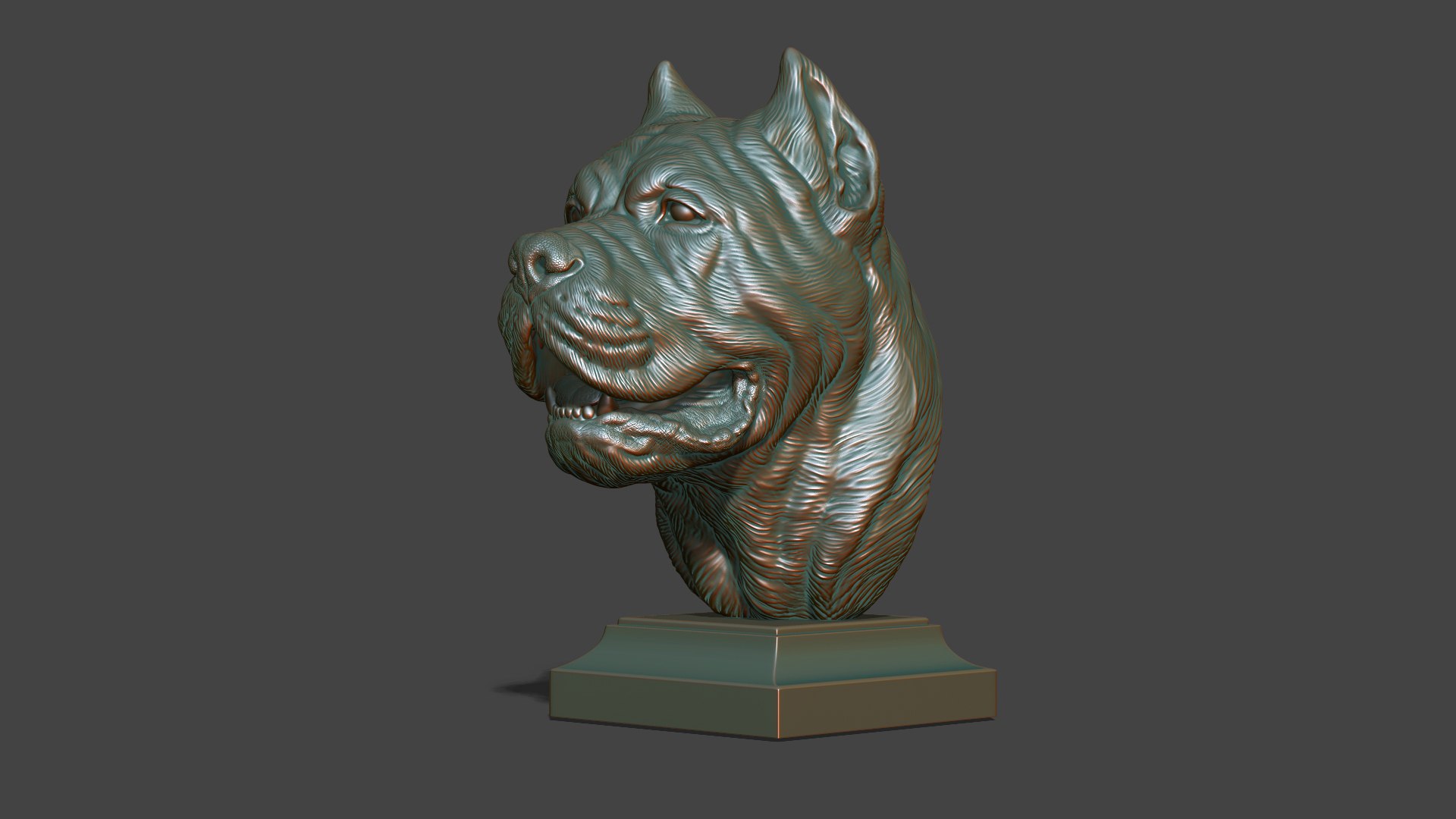 3D Canne Corso Bust Version 2 Model - TurboSquid 2258005