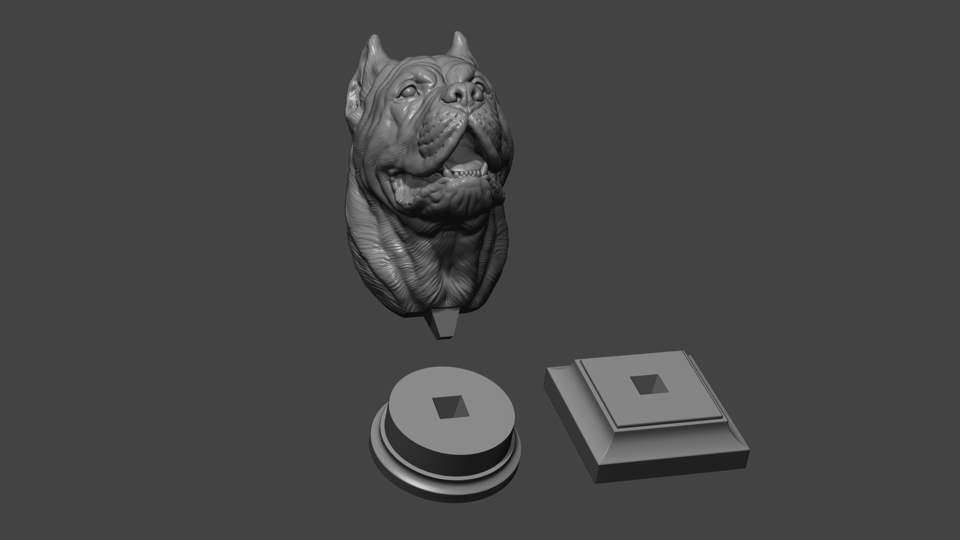 3D Canne Corso Bust Version 2 Model - TurboSquid 2258005