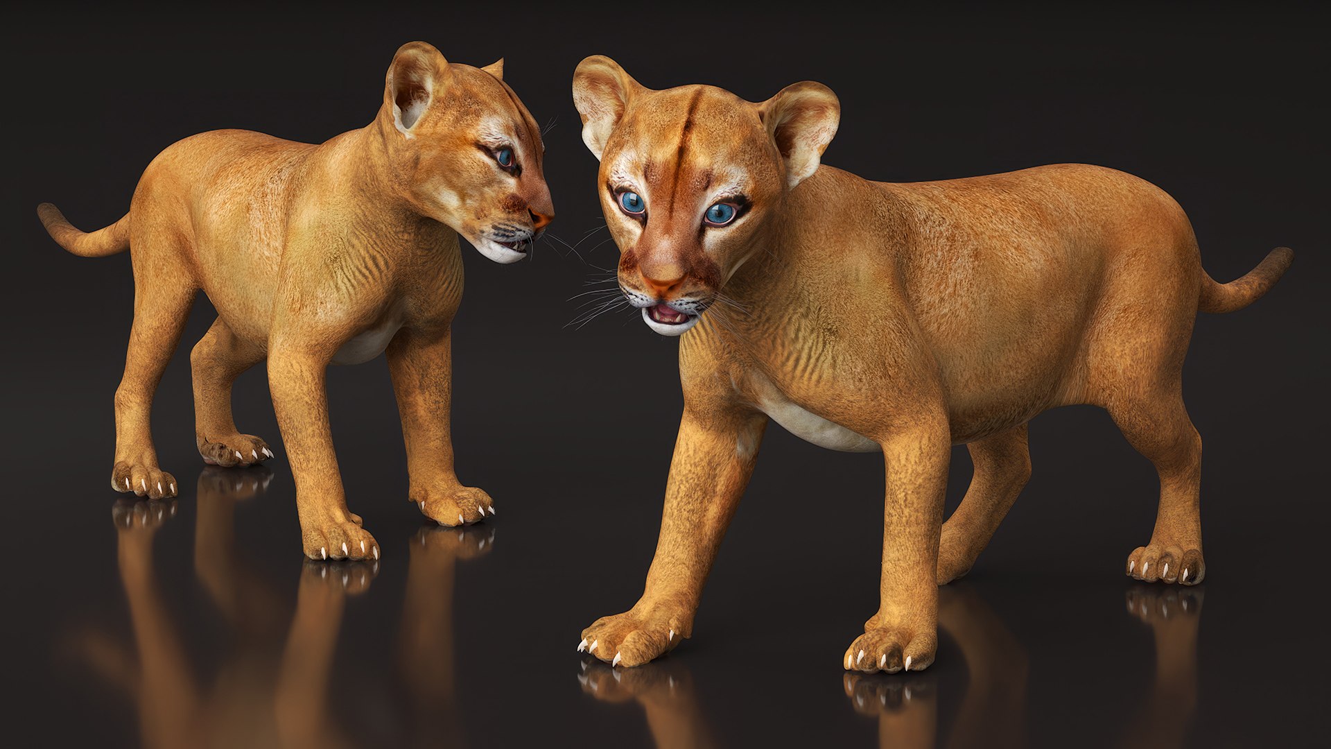 3D Model Baby Puma Cub - TurboSquid 2340137