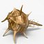 3d Max Seashell Murex