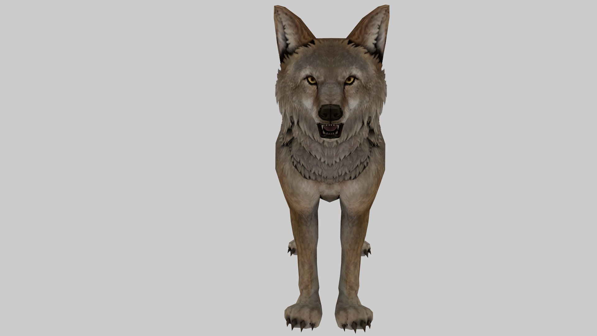 Realistic Wolf 3D Model 3D - TurboSquid 2380505