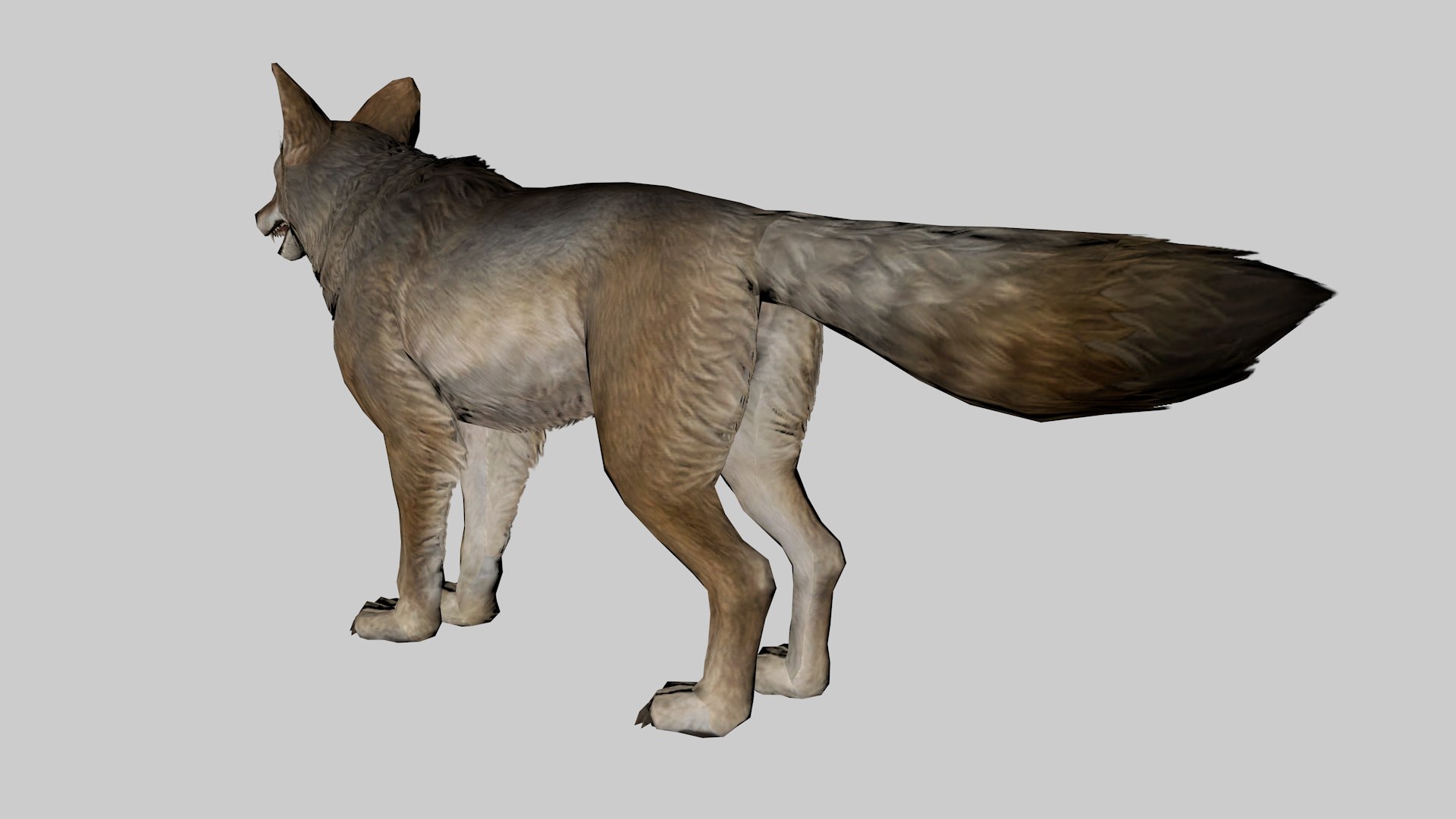 Realistic Wolf 3D Model 3D - TurboSquid 2380505