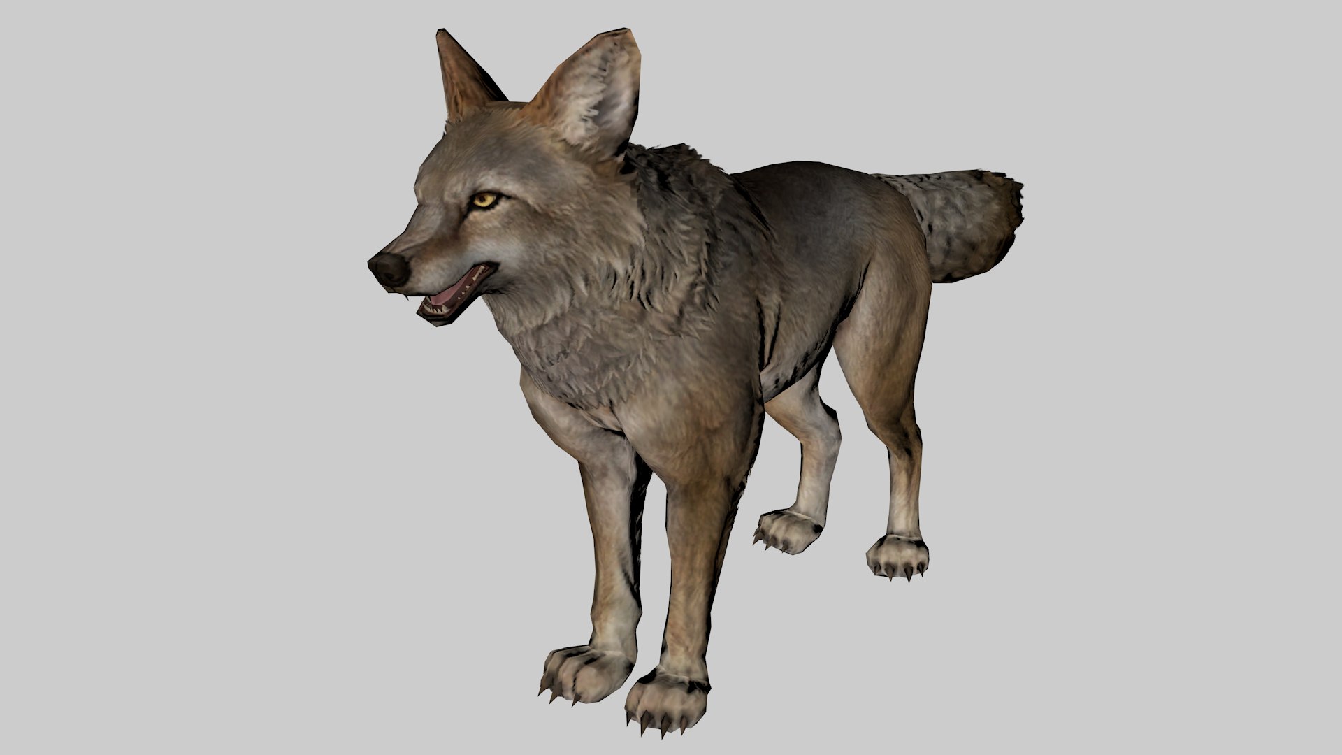 Realistic Wolf 3D Model 3D - TurboSquid 2380505