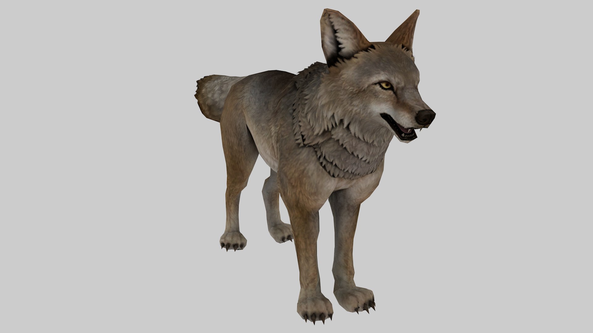 Realistic Wolf 3D Model 3D - TurboSquid 2380505