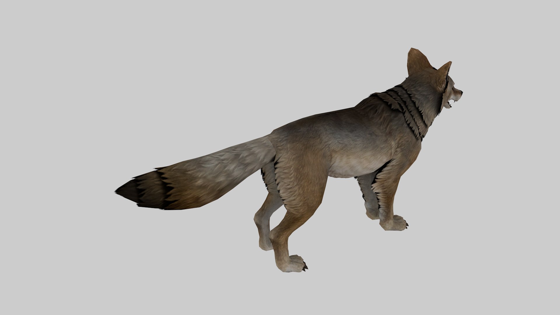 Realistic Wolf 3D Model 3D - TurboSquid 2380505