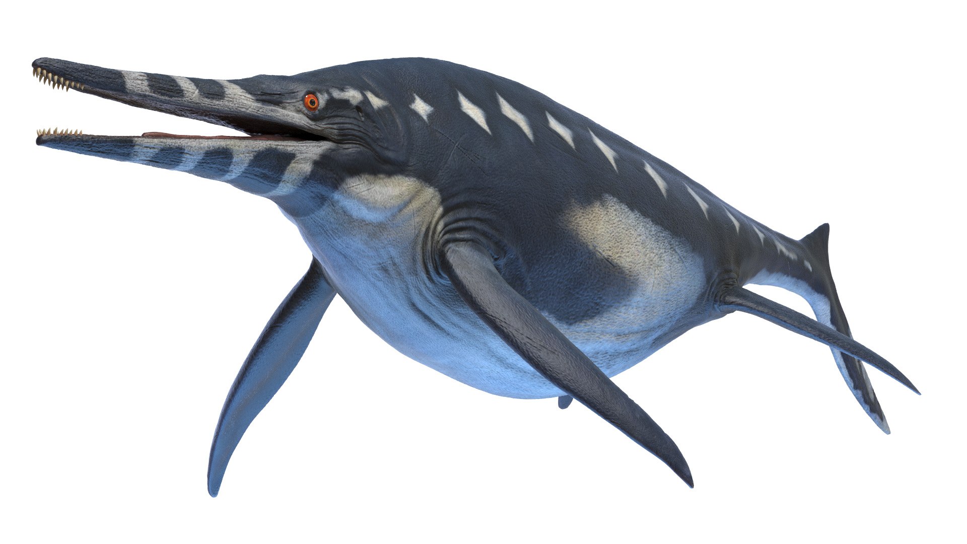 Shonisaurus Animated 3D Model - TurboSquid 1940051