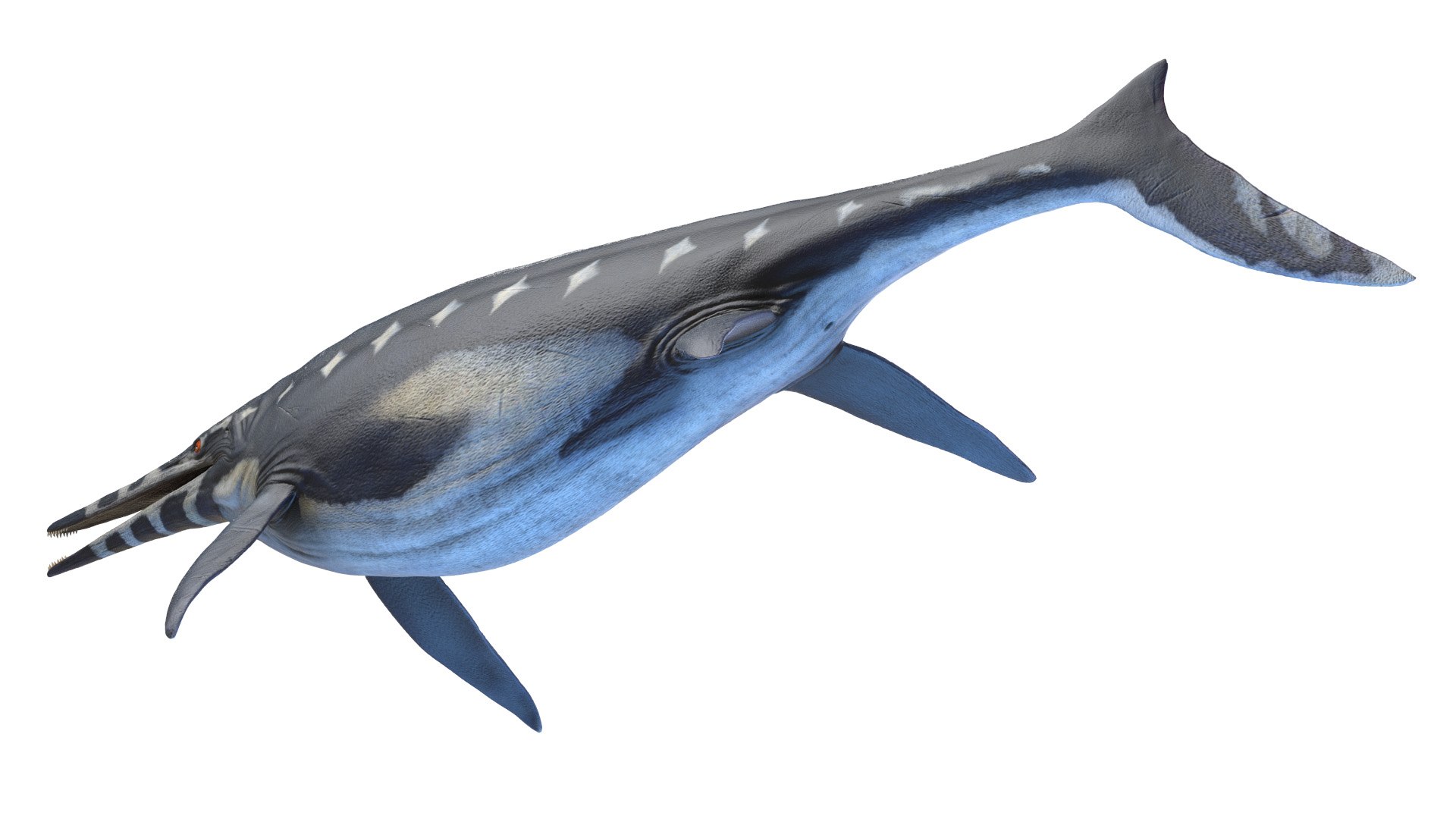 Shonisaurus Animated 3D Model - TurboSquid 1940051