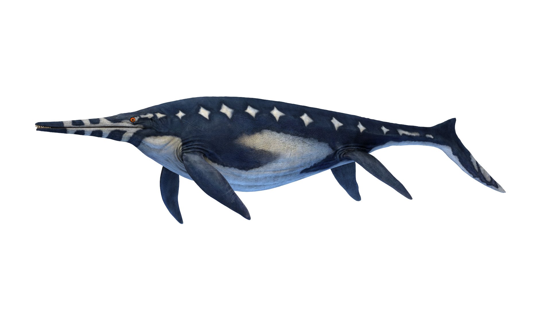 Shonisaurus Animated 3D Model - TurboSquid 1940051