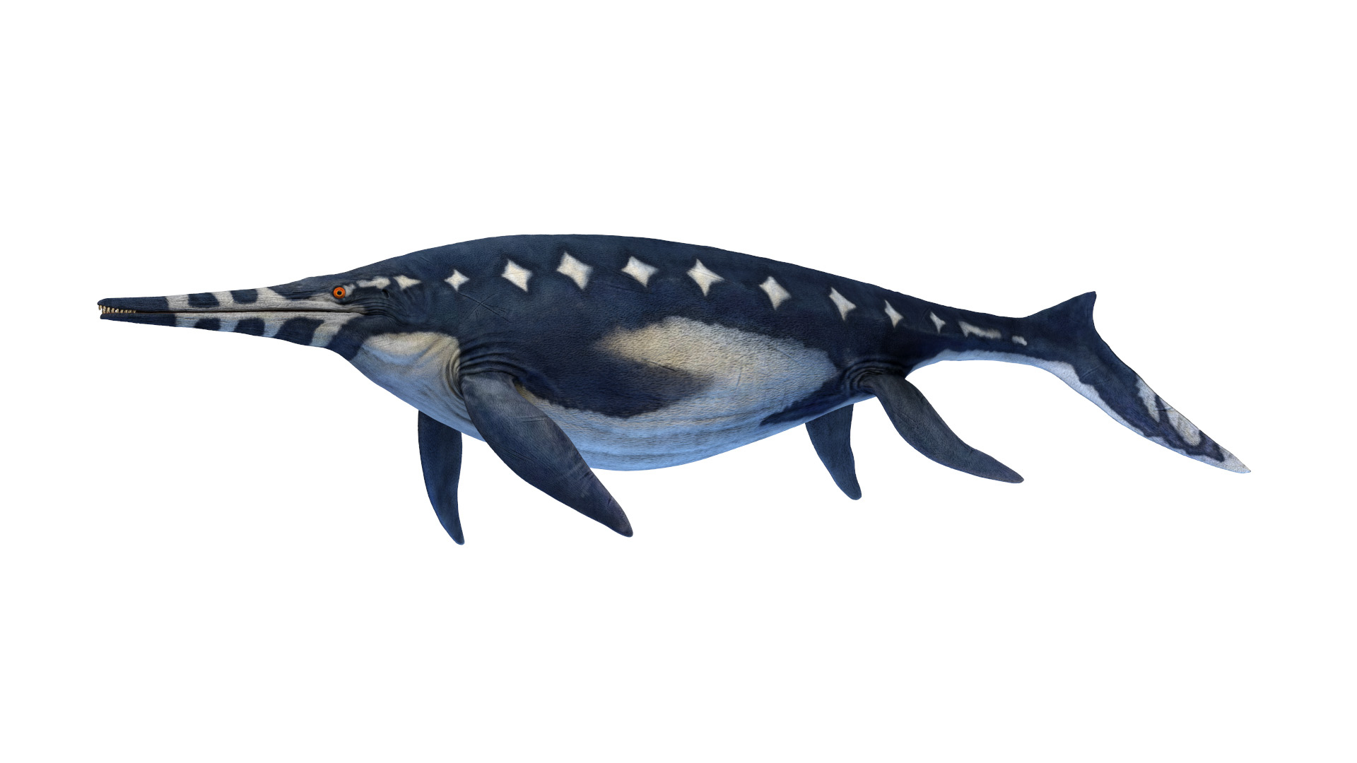 Shonisaurus Animated 3D Model - TurboSquid 1940051