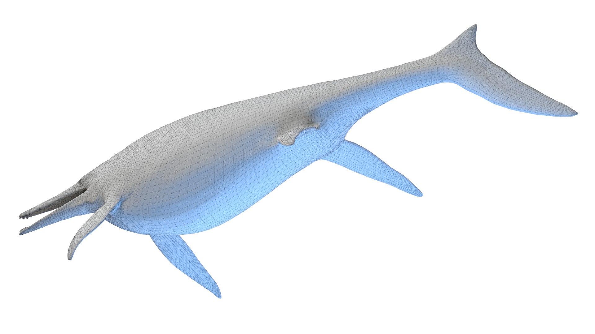 Shonisaurus Animated 3D Model - TurboSquid 1940051