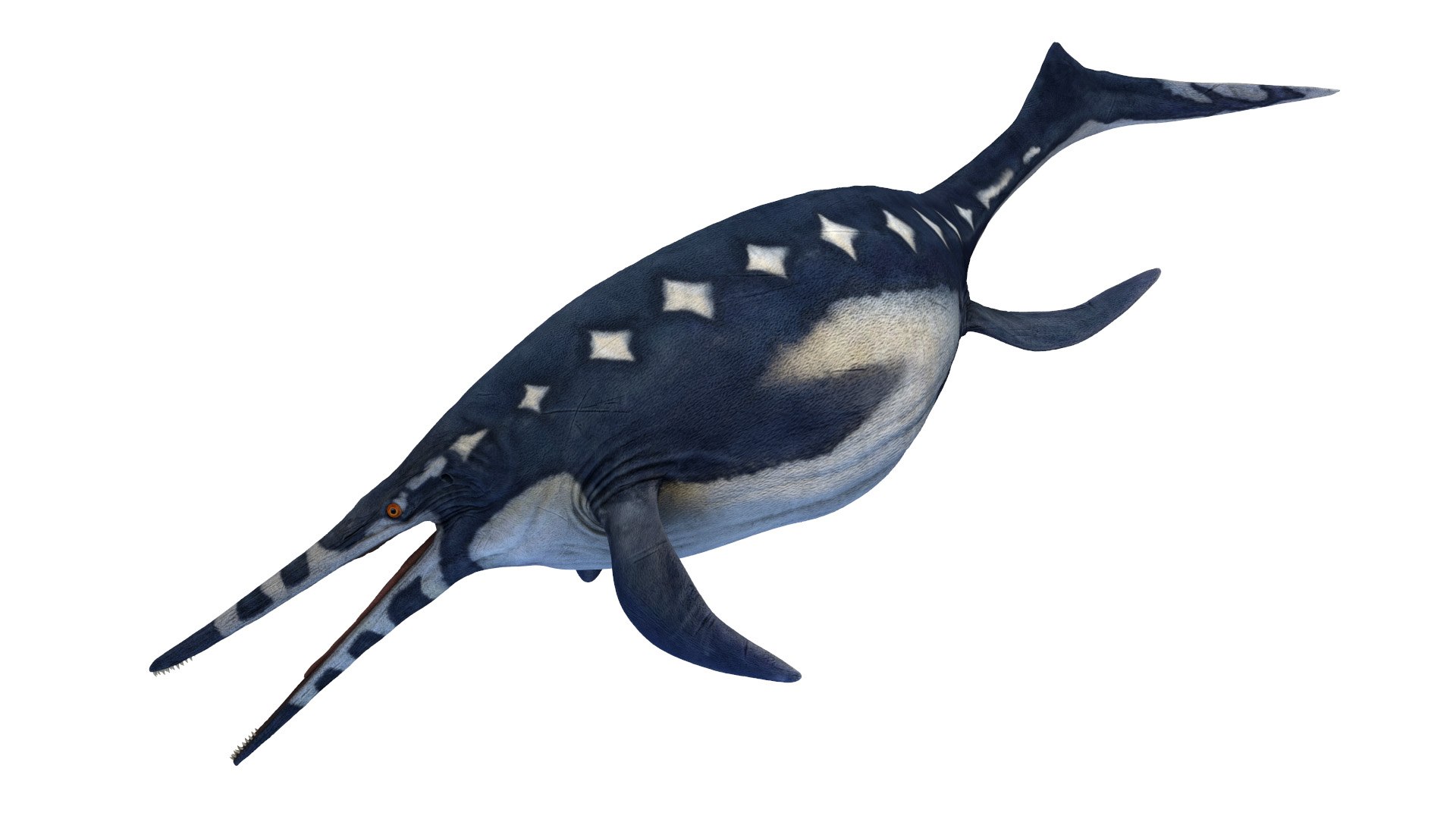 Shonisaurus Animated 3D Model - TurboSquid 1940051