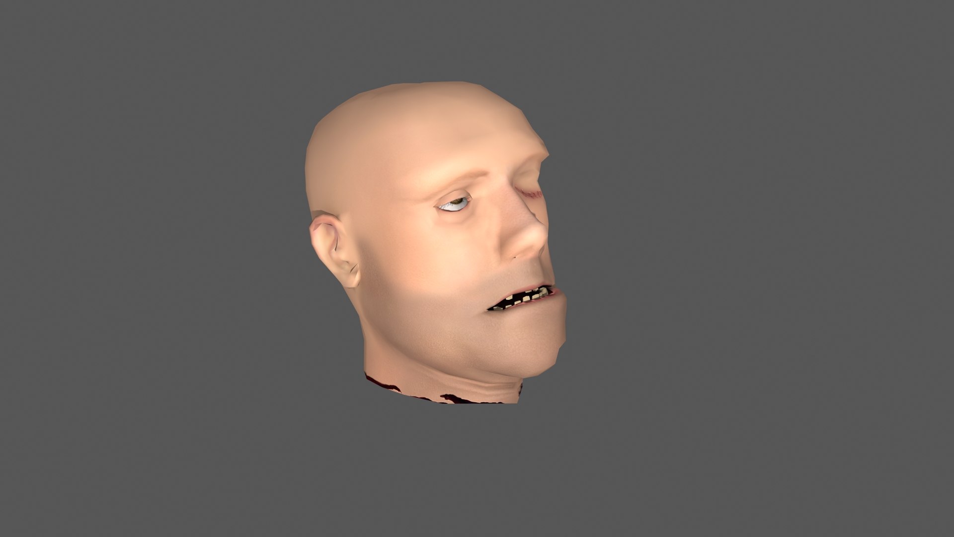 3D Speciment Head Model - TurboSquid 1507063