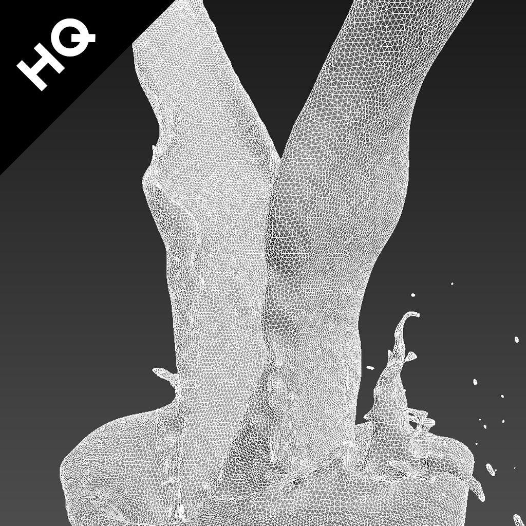 splash realflow flow 3d model