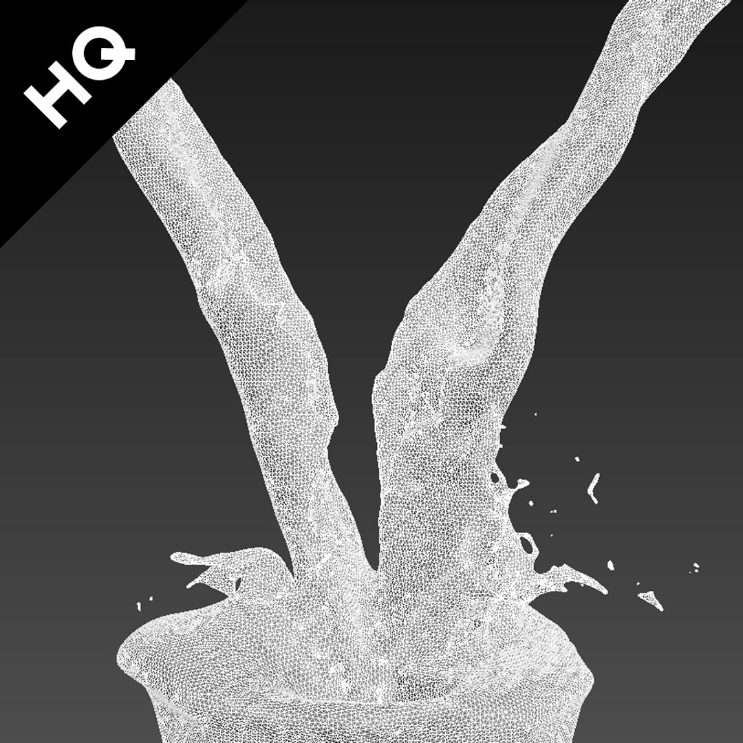 splash realflow flow 3d model