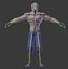 Free Base Mesh Character Rigging 3d Model