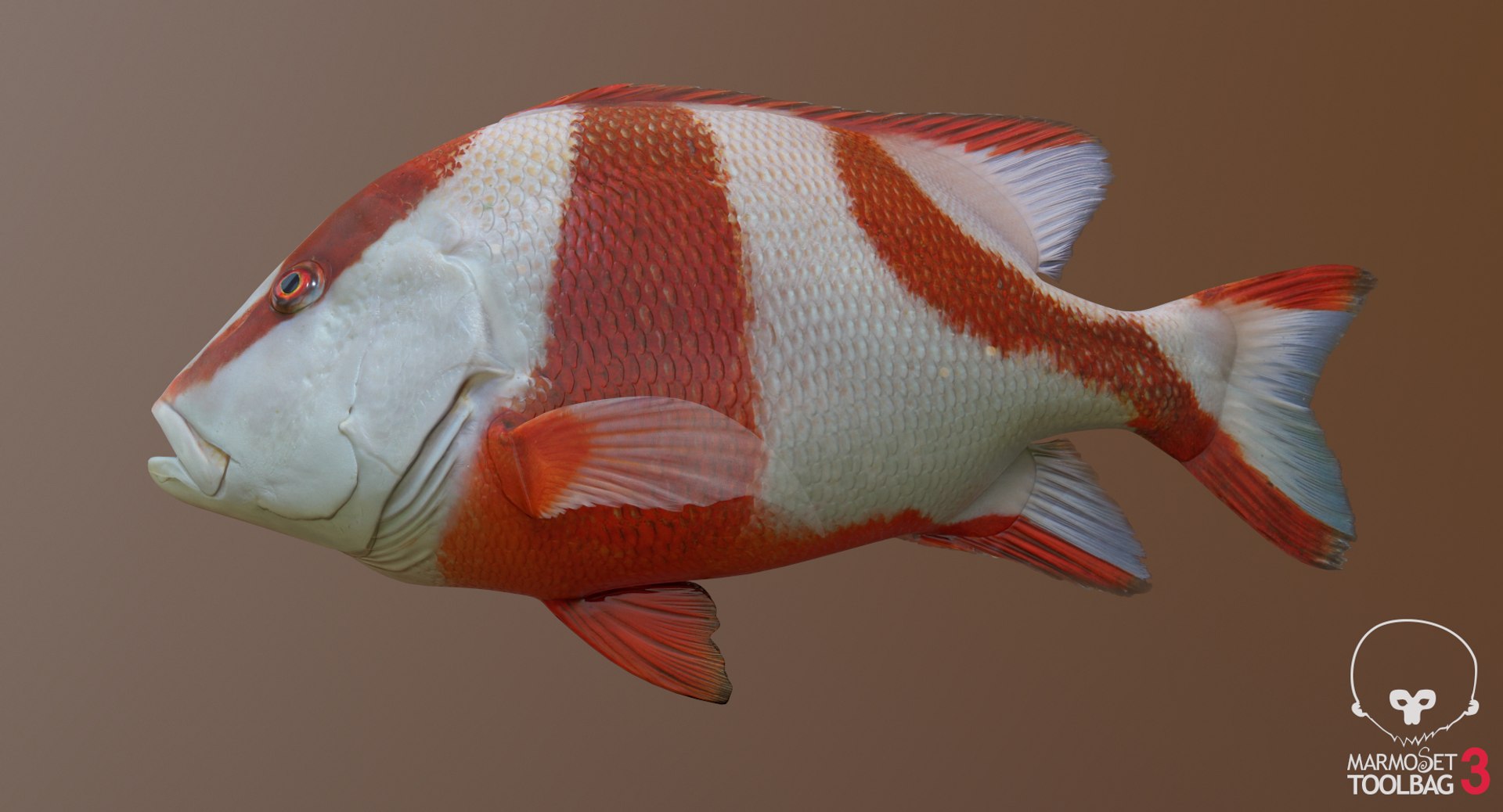 3D Model Red Emperor Snapper - TurboSquid 1421772
