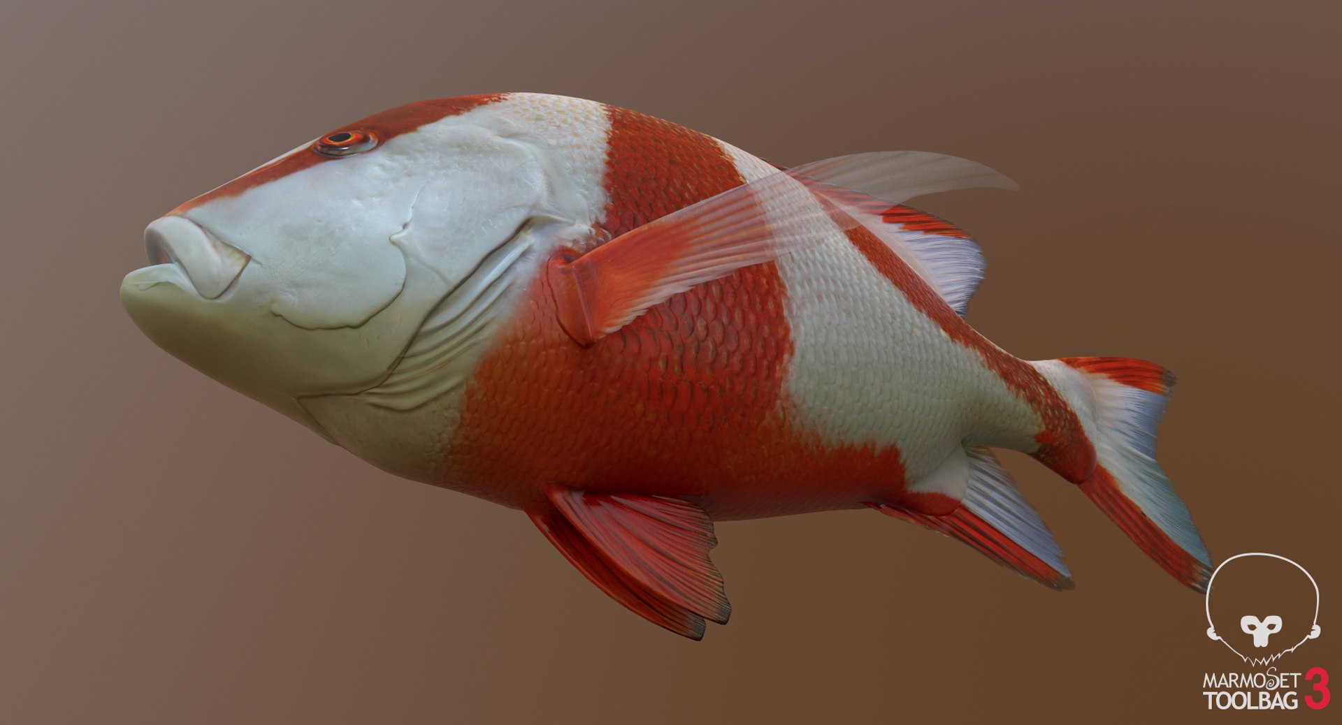 3D Model Red Emperor Snapper - TurboSquid 1421772
