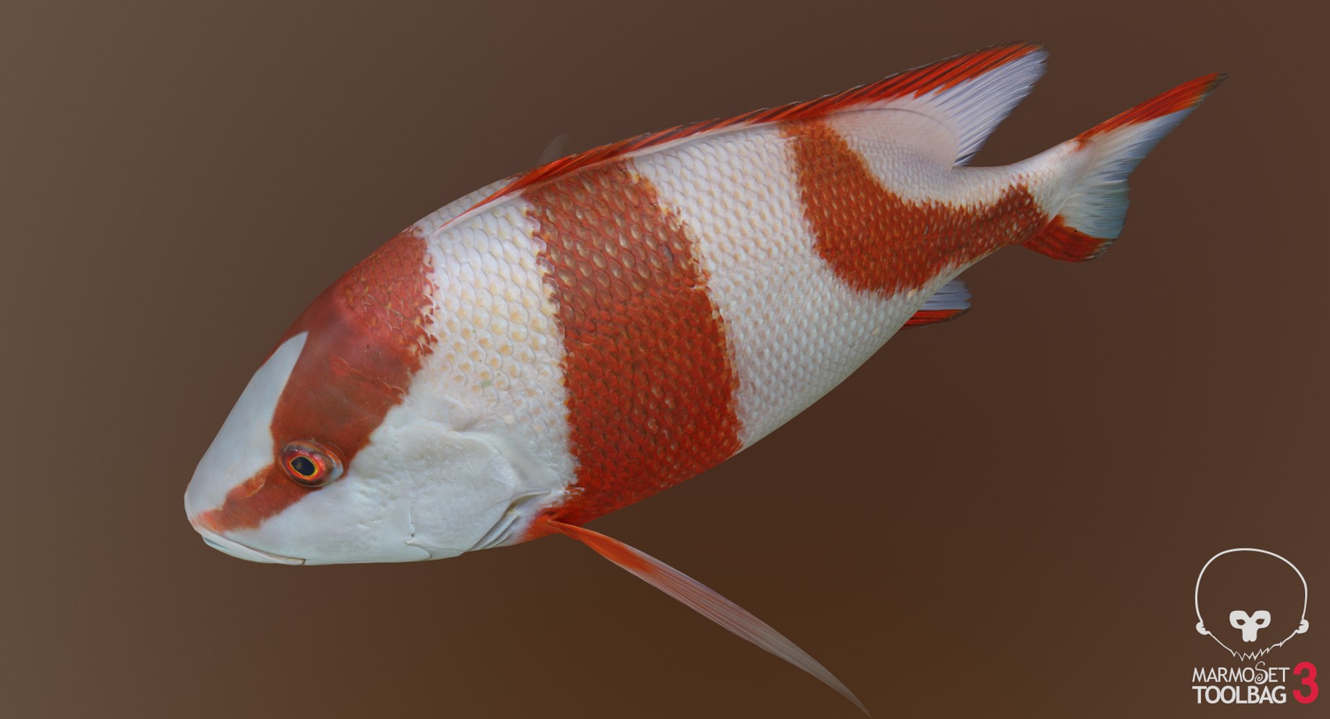 3D Model Red Emperor Snapper - TurboSquid 1421772