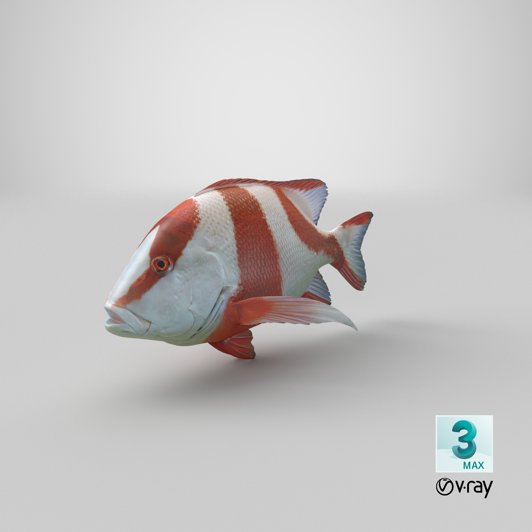 3D model red emperor snapper - TurboSquid 1421772