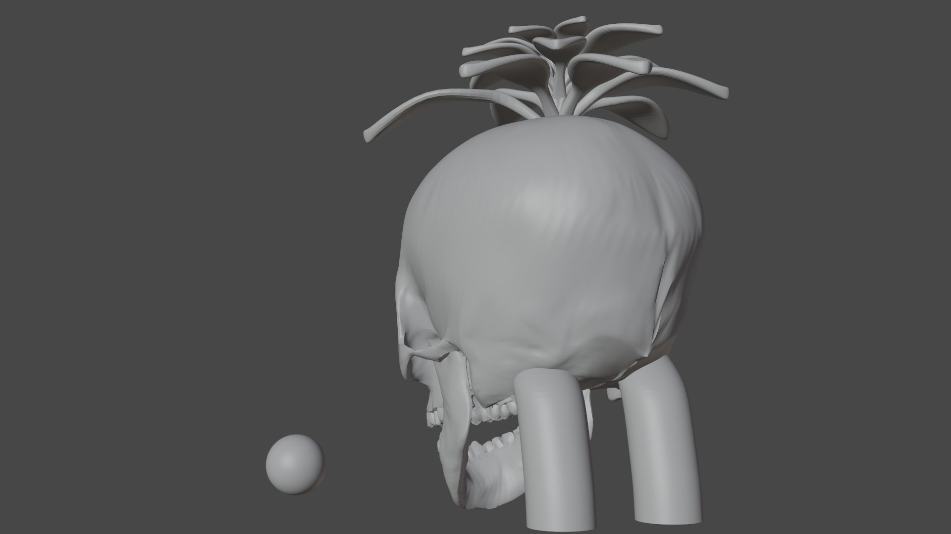 3D Skeleton-Natures Touch On The Face Of Death - TurboSquid 2280016