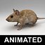 3d Rigged Mouse Walk Animation