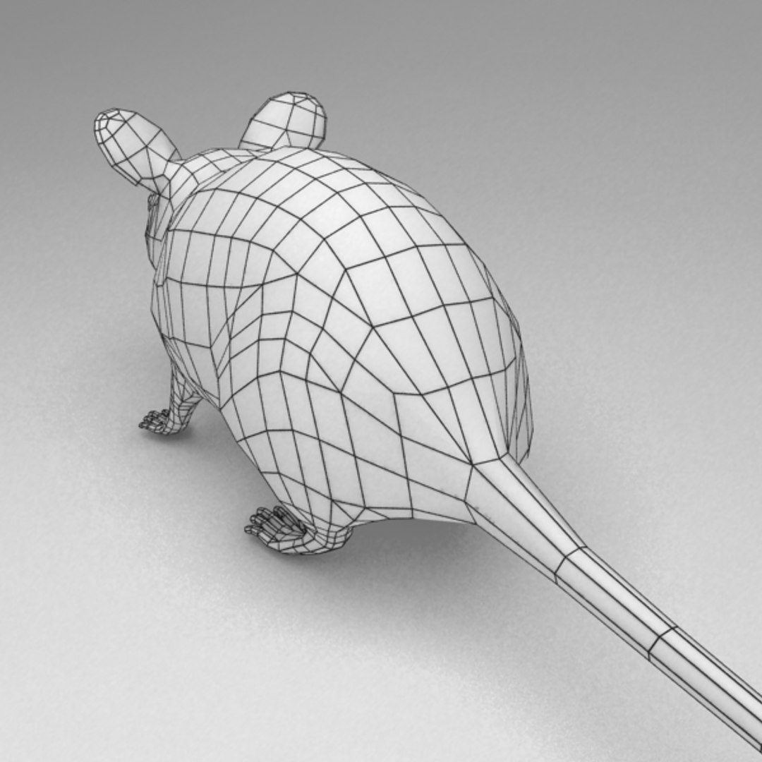 3d Rigged Mouse Walk Animation