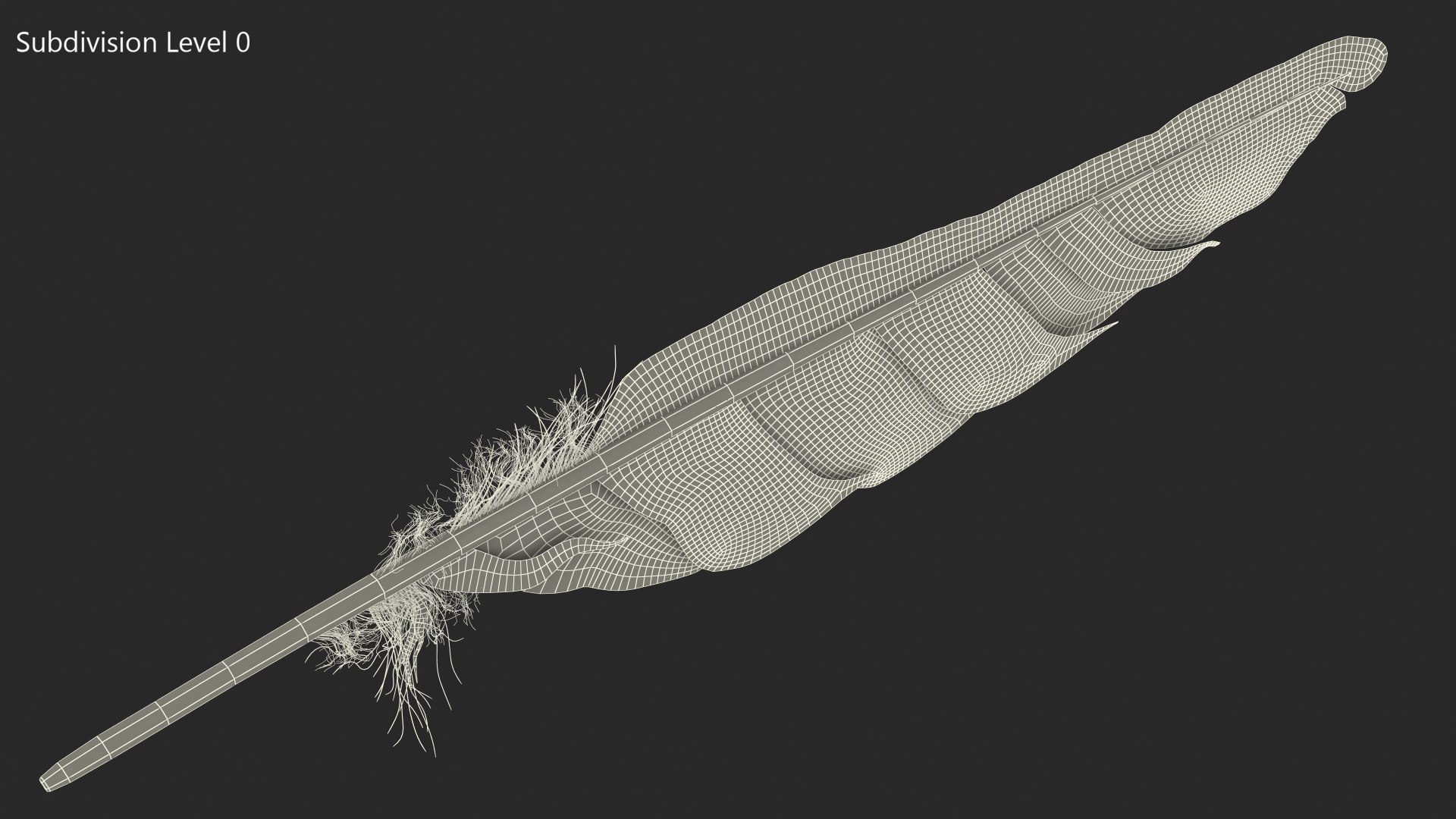 Dark Bird Feather Model - TurboSquid 2161770