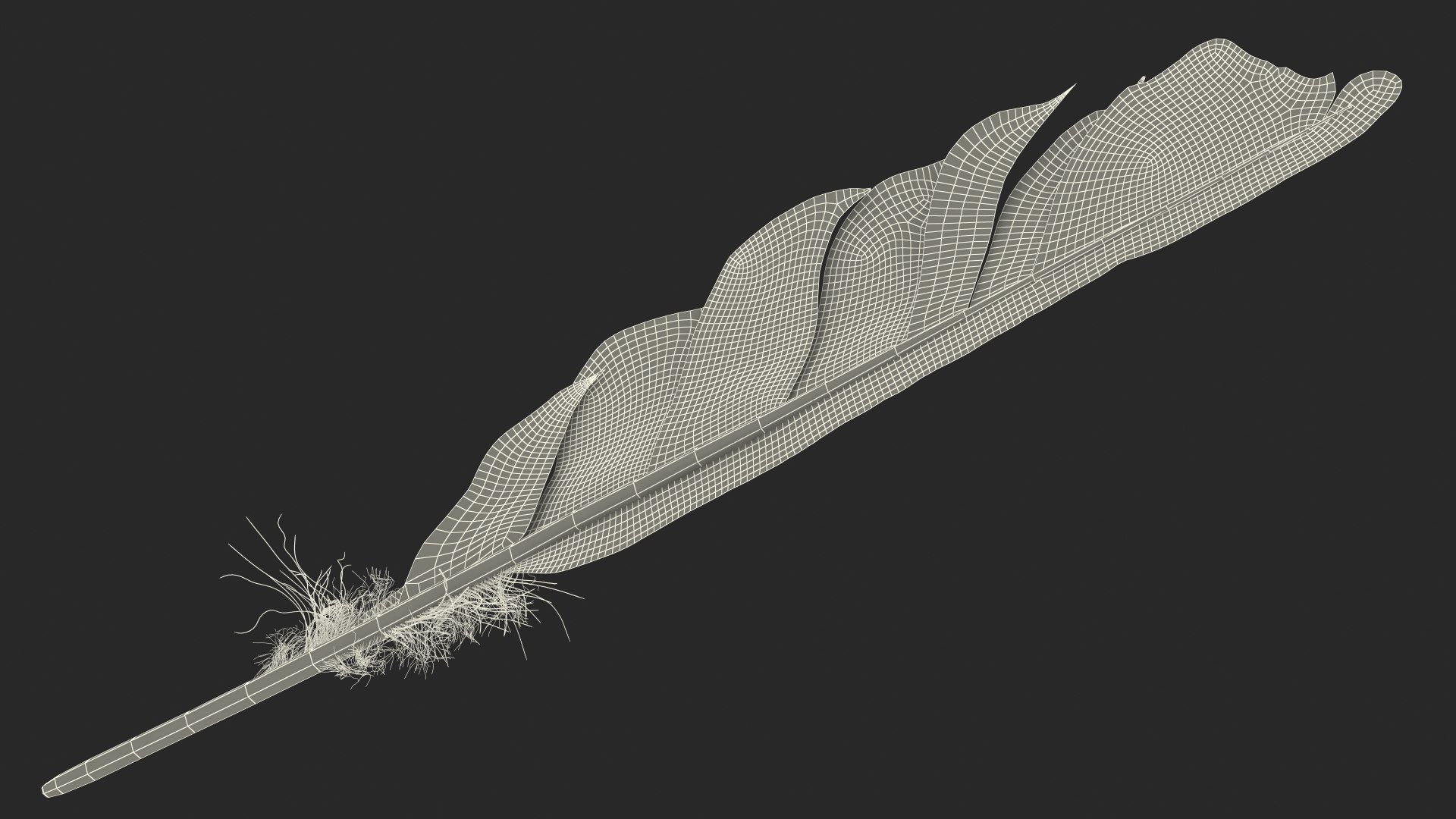 Dark Bird Feather Model - TurboSquid 2161770