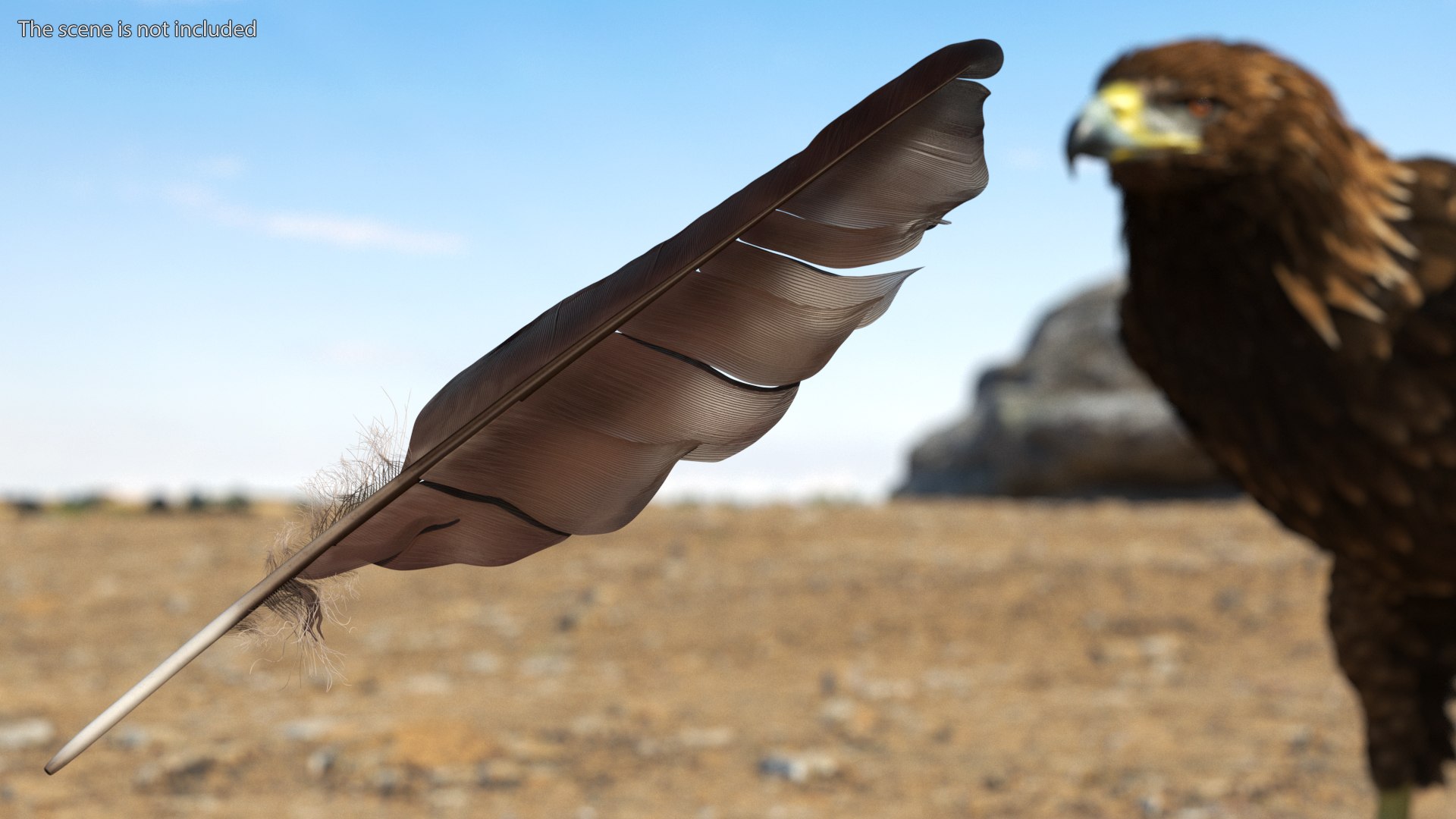 Dark Bird Feather Model - TurboSquid 2161770