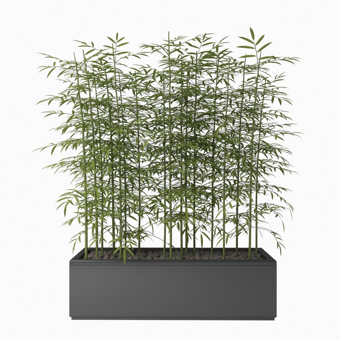 Bamboo 3D - TurboSquid 1128919