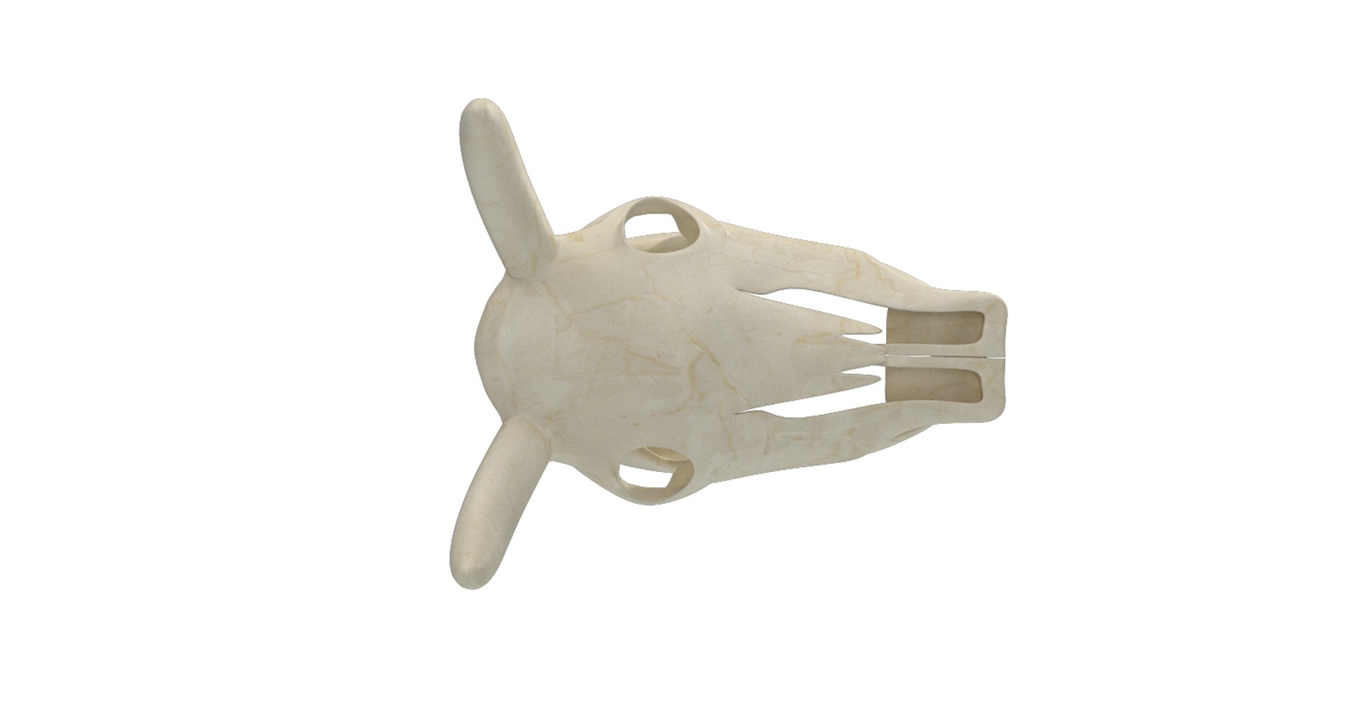 3D Cow Skeleton Skull Model - TurboSquid 1348257
