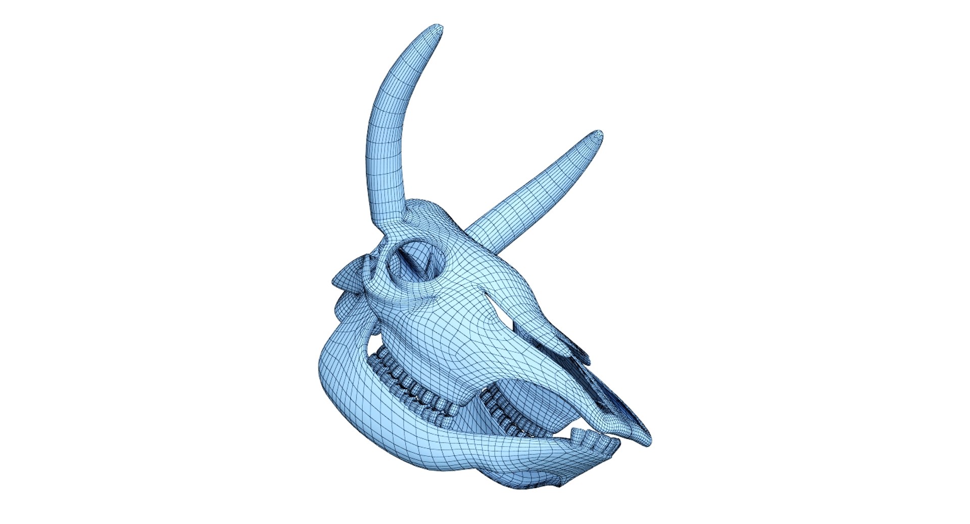 3D Cow Skeleton Skull Model - TurboSquid 1348257