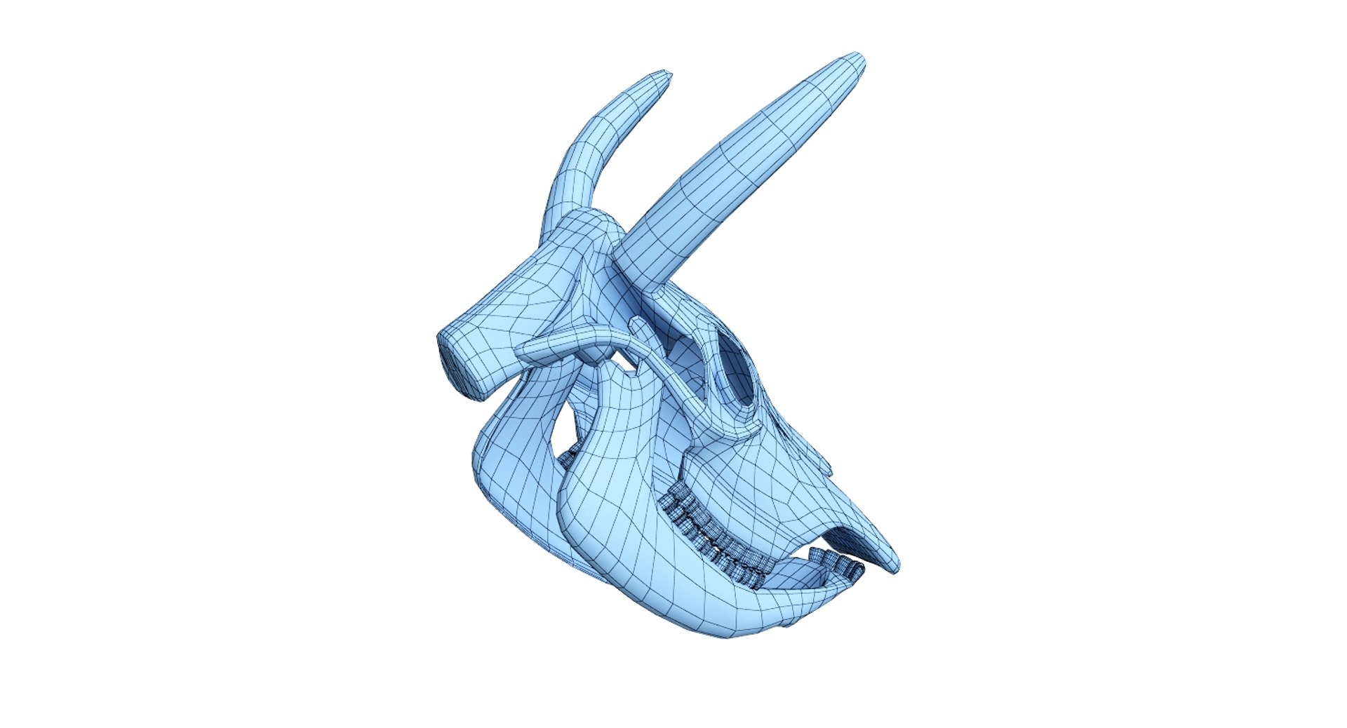 3D Cow Skeleton Skull Model - TurboSquid 1348257