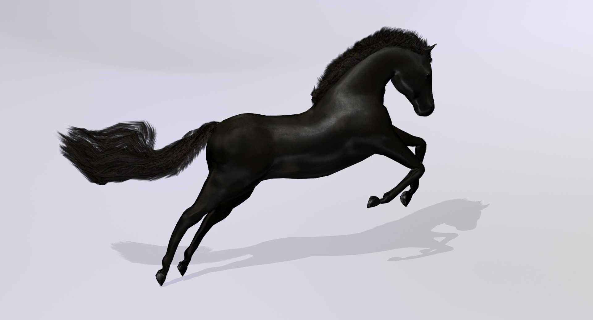 Horse Black Animation 3d Max