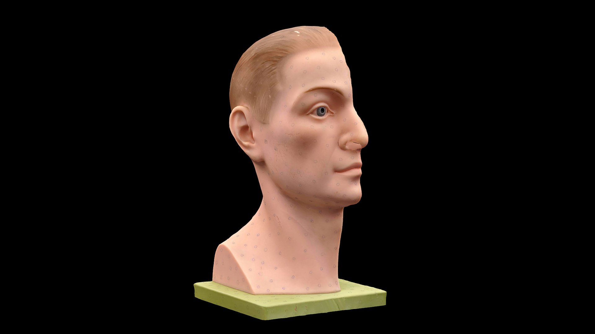 3D Anatomy Head Brain Model - TurboSquid 1678942