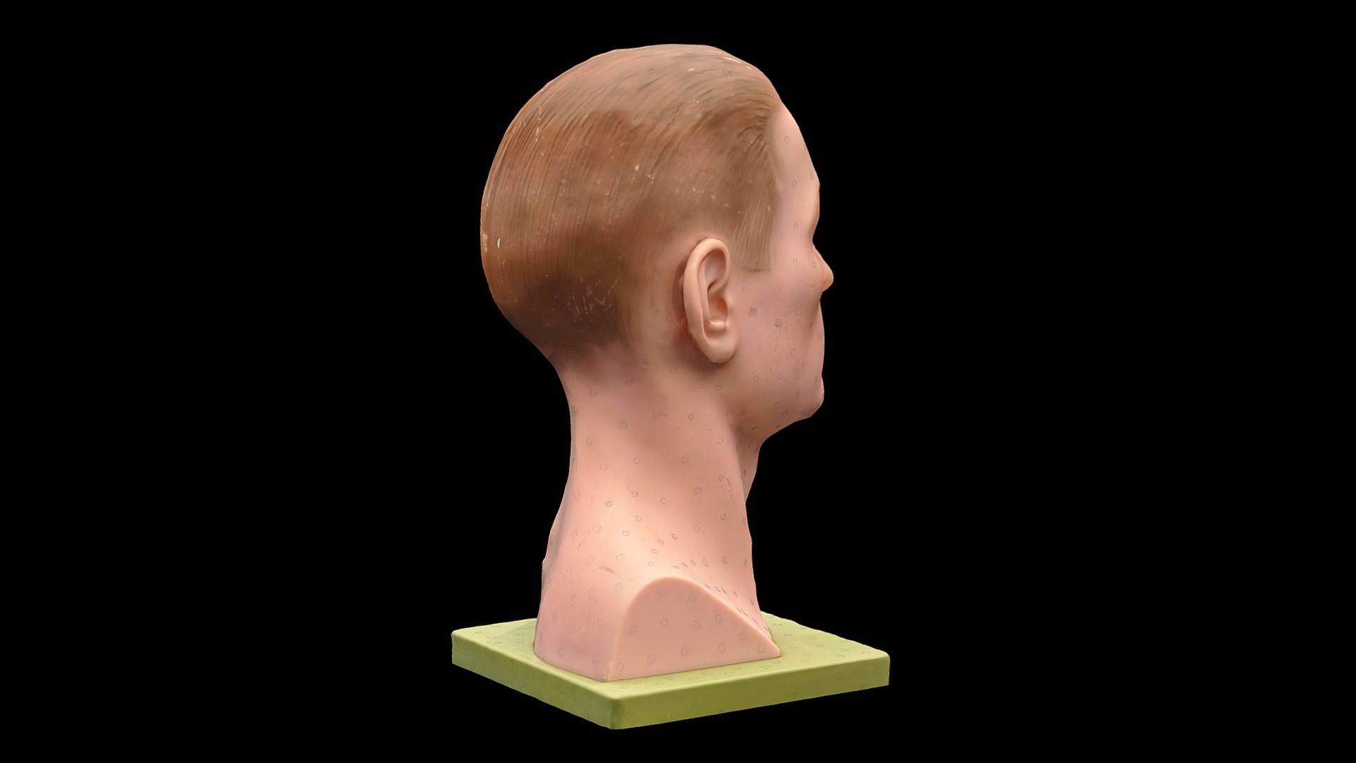 3D Anatomy Head Brain Model - TurboSquid 1678942