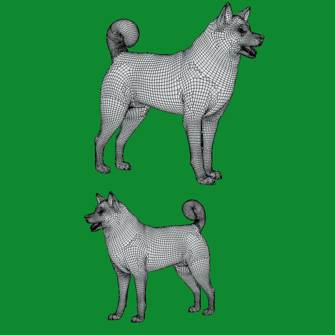 3D American Akita Dog Model - TurboSquid 2293103