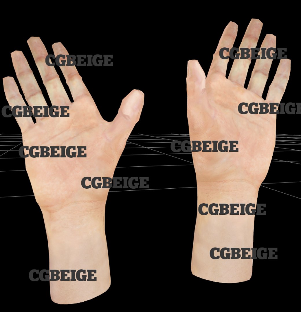3d Rigged Male Hand