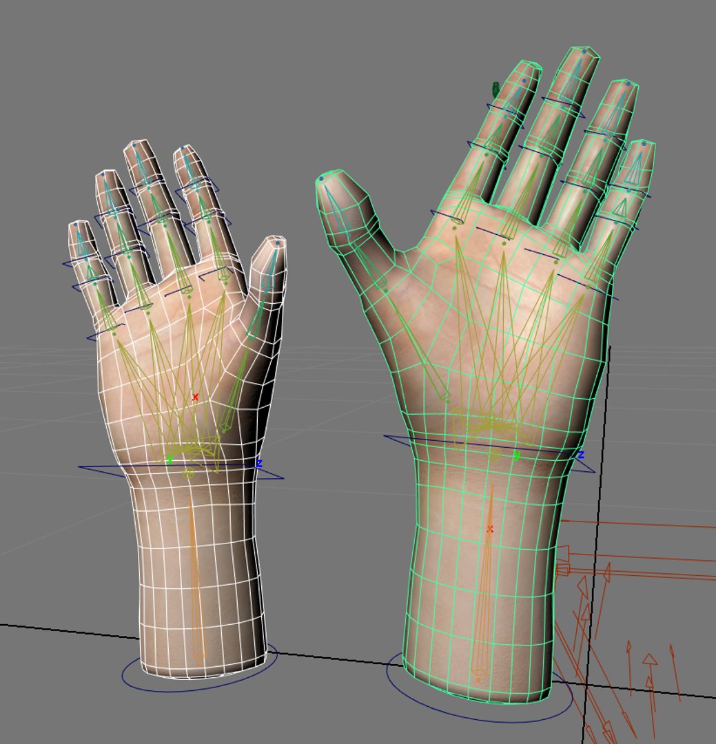 3d Rigged Male Hand