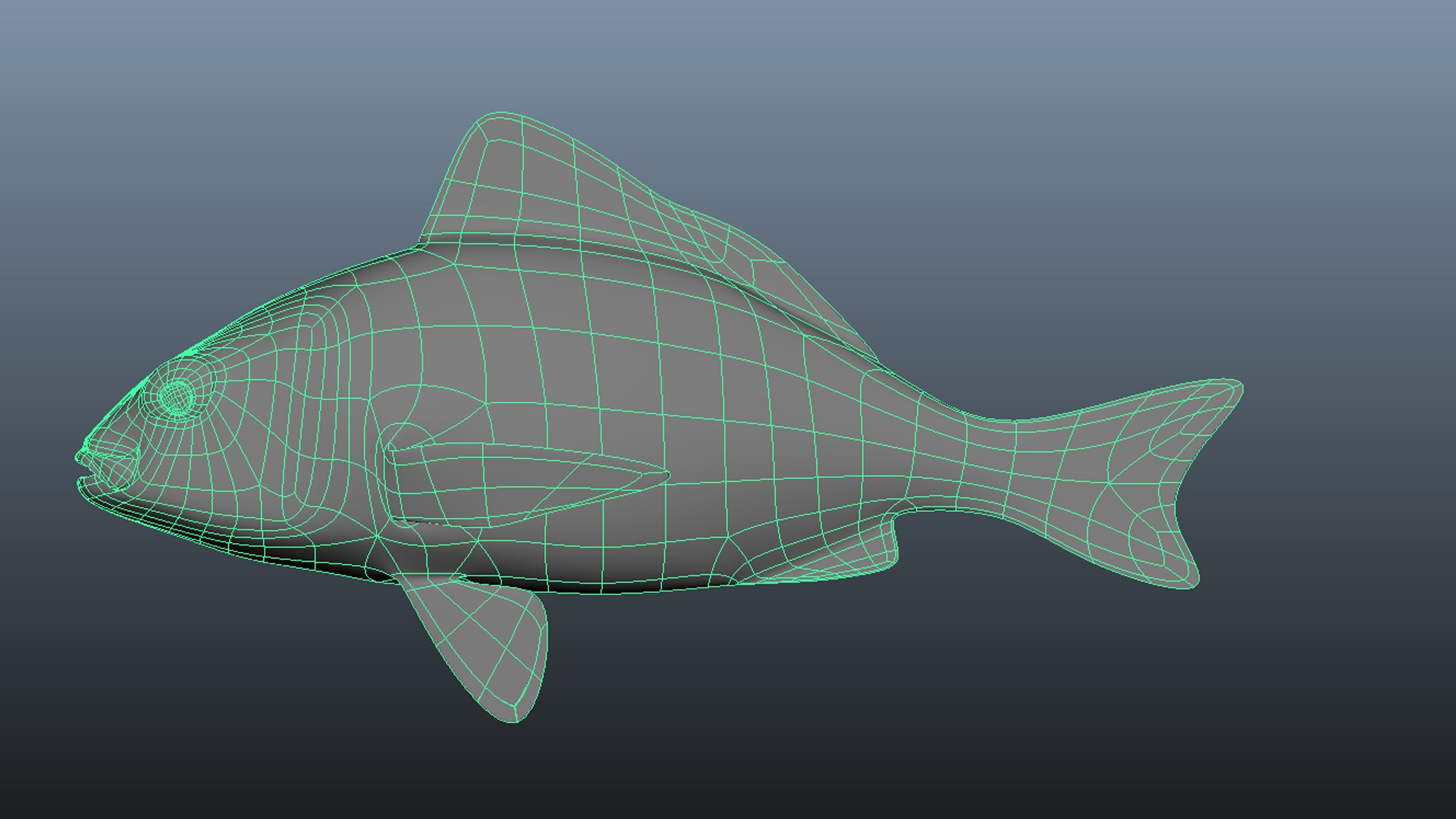 Saltwater Fish Collection 10 3D - TurboSquid 1834034